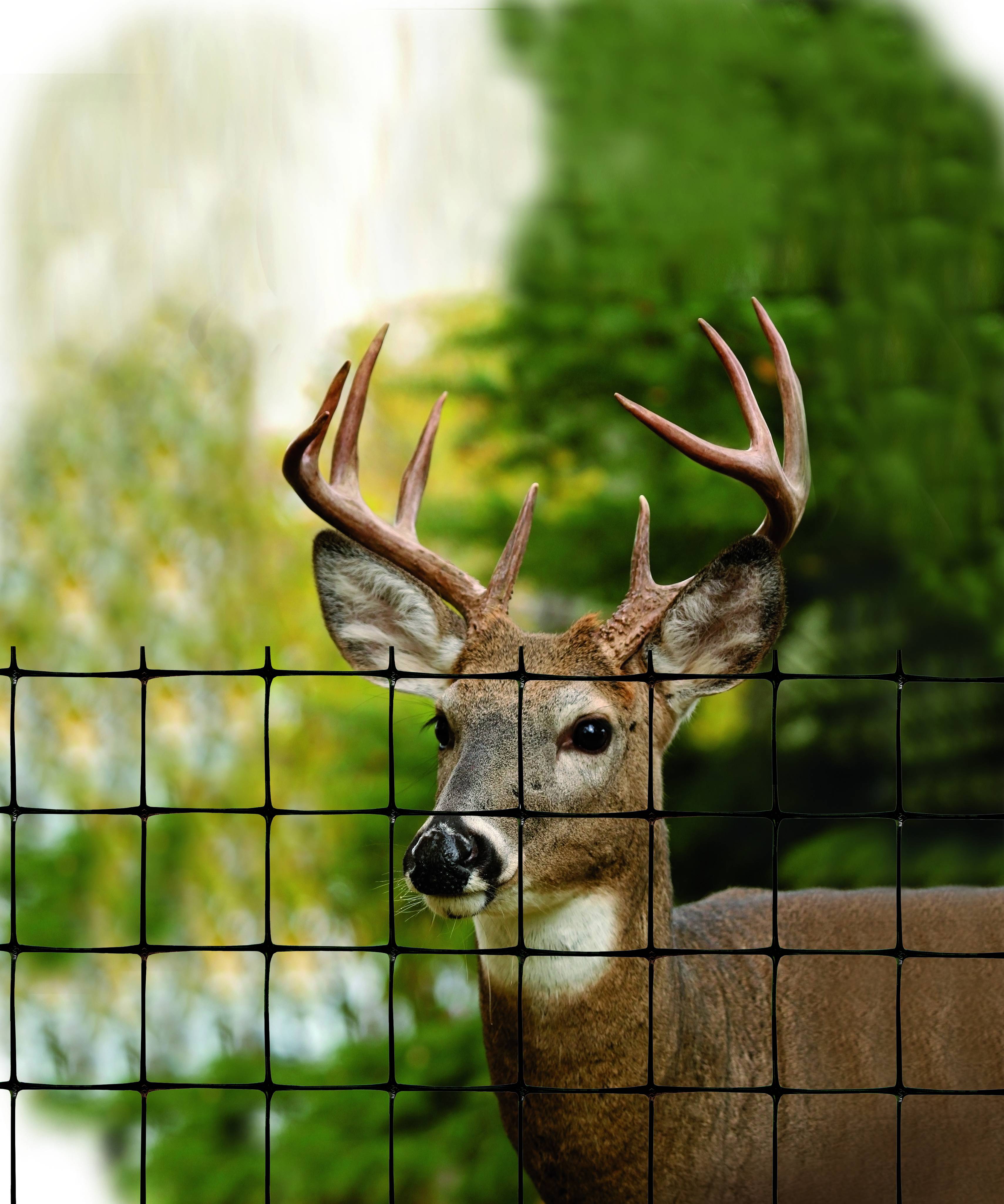 Deer Netting Fence | Plastic Garden & Crop Protection