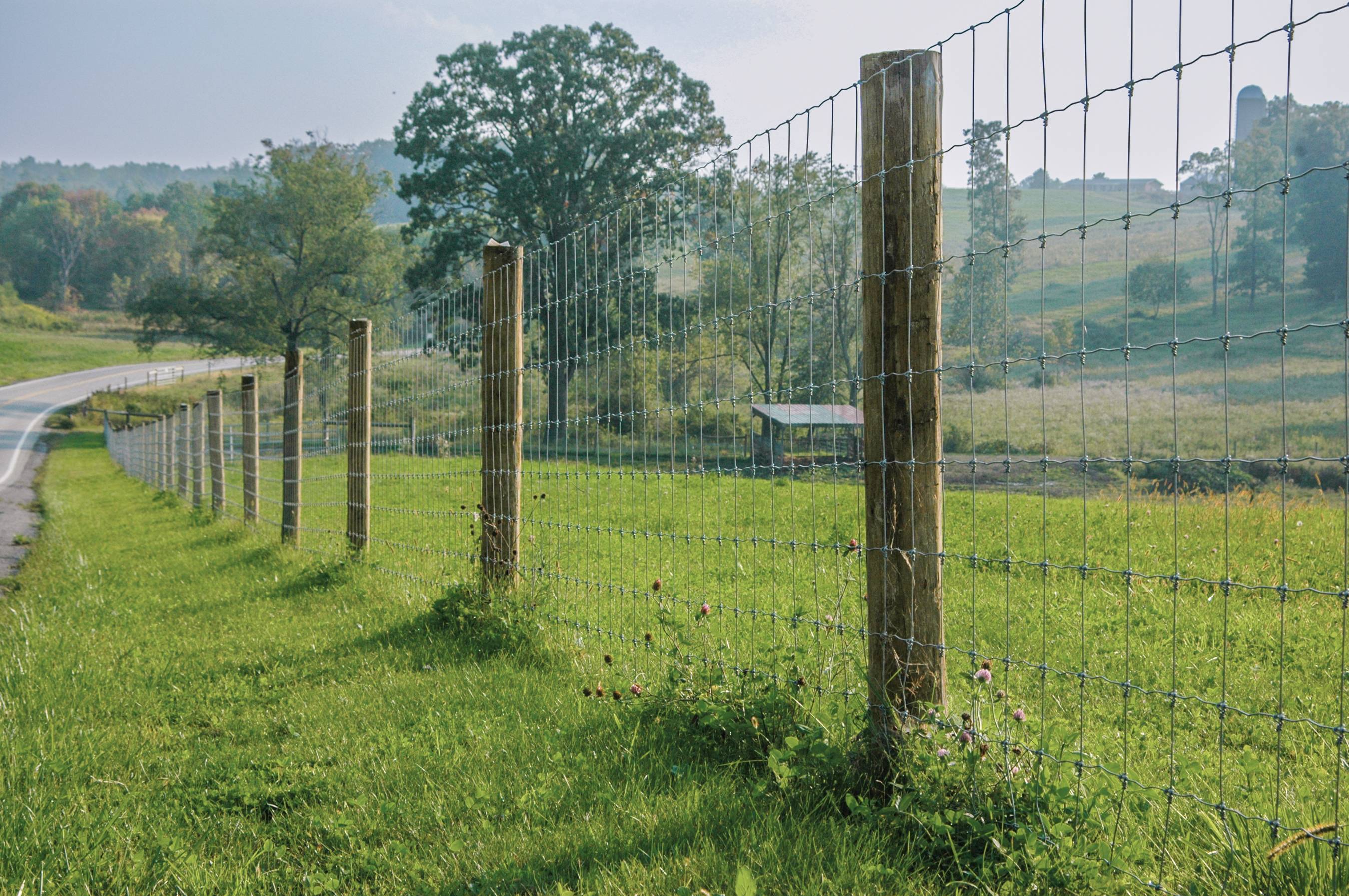 Field Fence