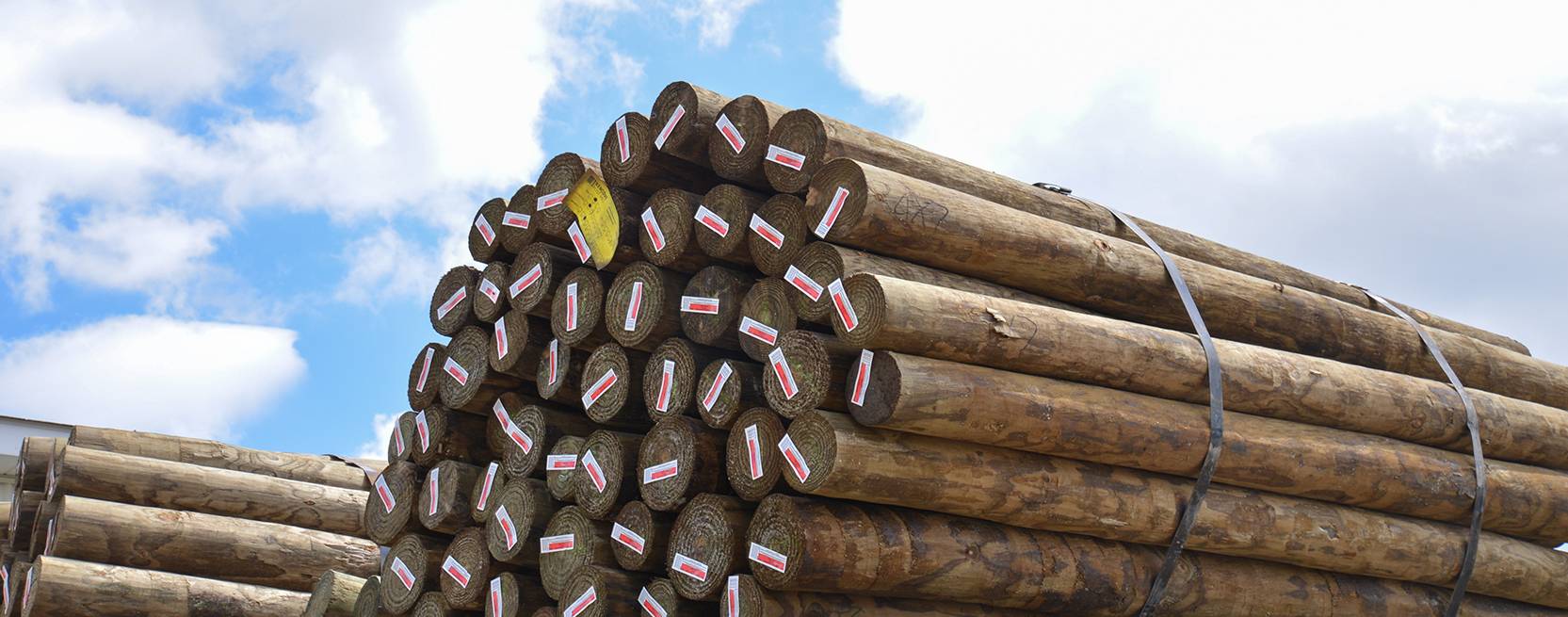 Kencove's Posts: Wood, Step-In, T-Posts & Accessories for Fencing