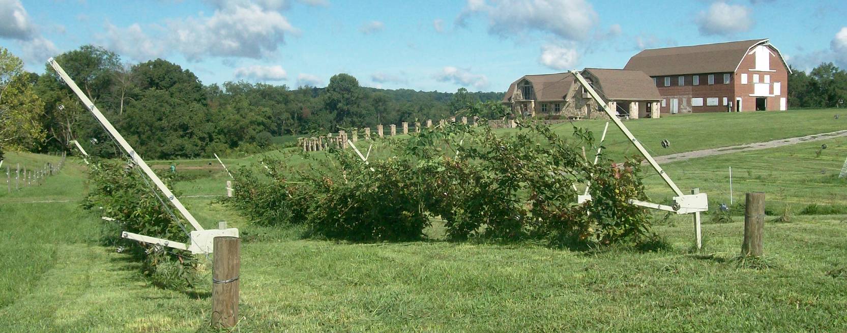 Kencove Trellis Optimization:MiniTite Tighteners, Monofilament & Guide