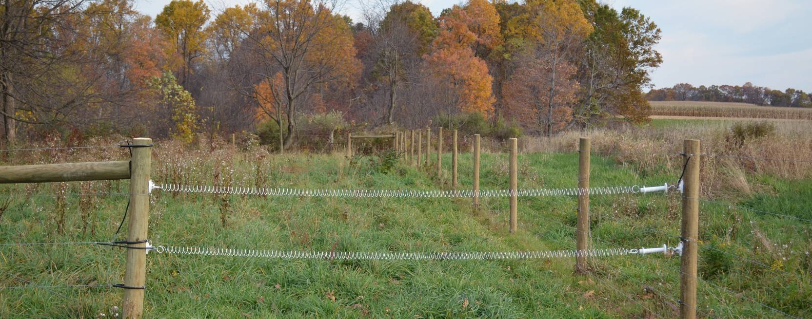 Spring Gates | Flexible Electric Fence Gates | Kencove