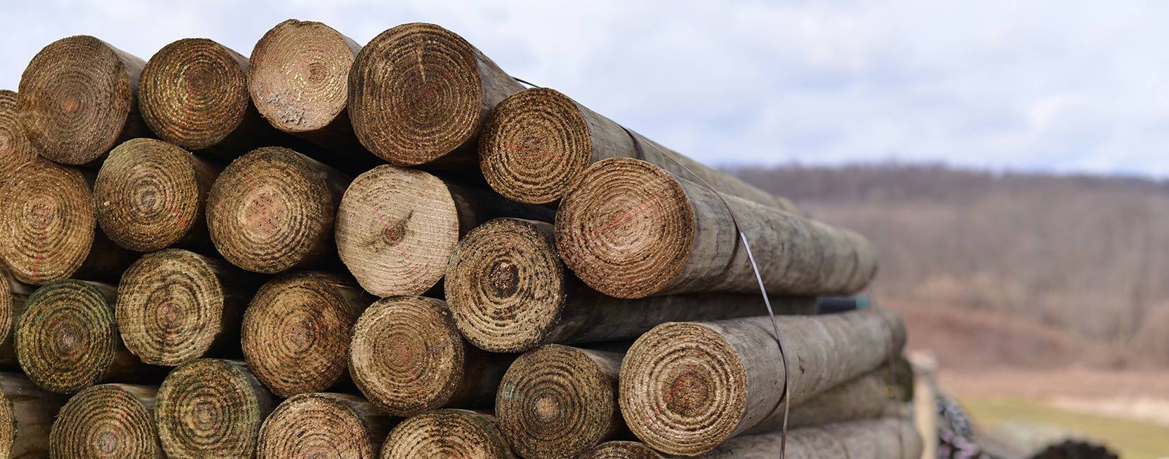 Premium Wood Fence Posts | Treated & Cedar | Kencove