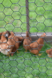 PVC-Coated Hex Wire, Black